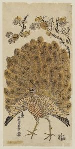 What is the Significance of Peacocks in Japanese Art and Culture?