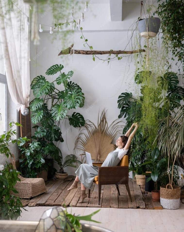 How to Design a Biophilic Home That Feels Like a Breath of Fresh Air